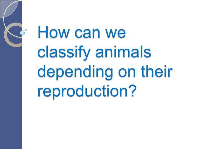 Unit 1 life processes animals | PPT