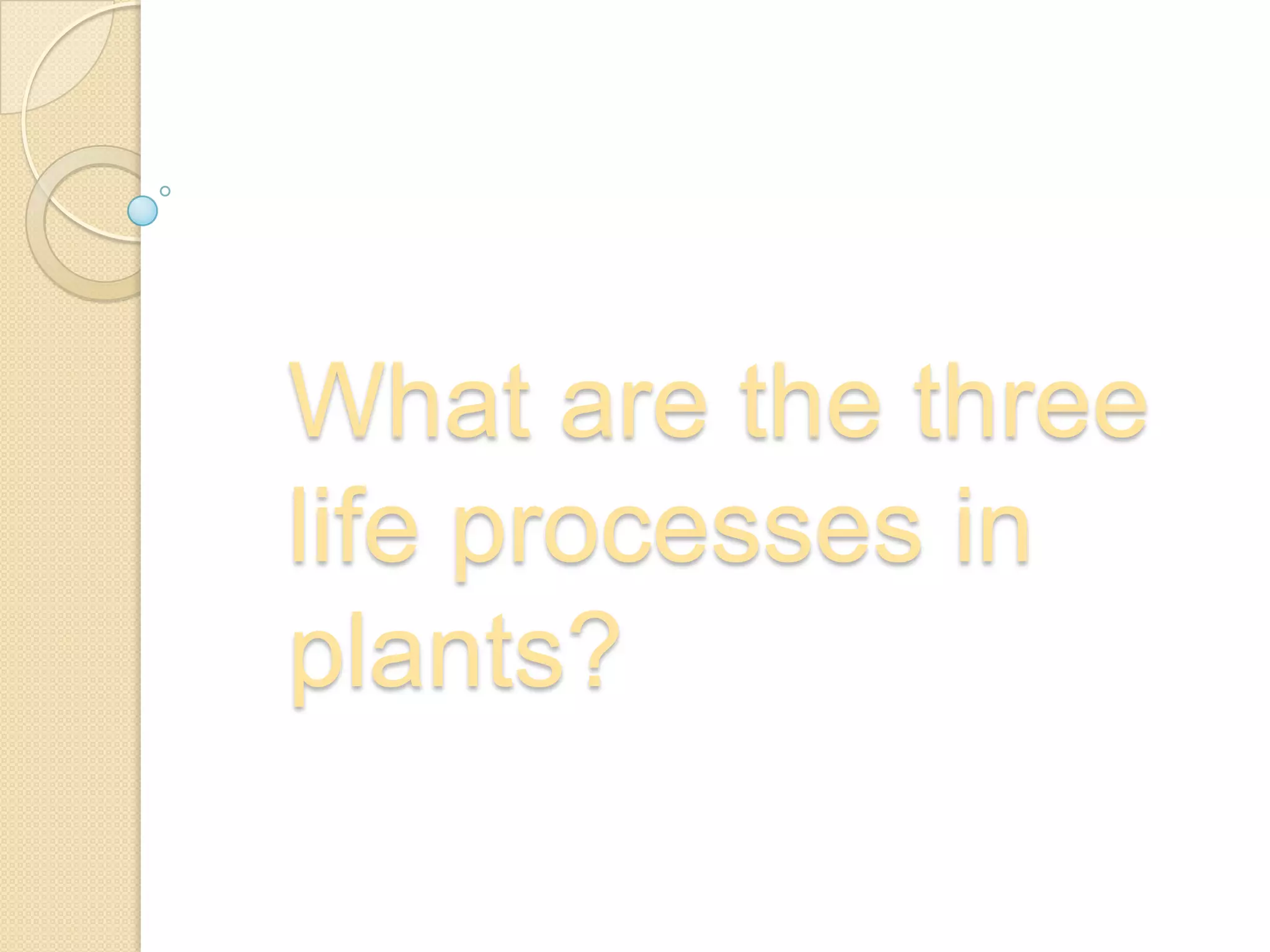 Unit 1 life processes plants | PPT