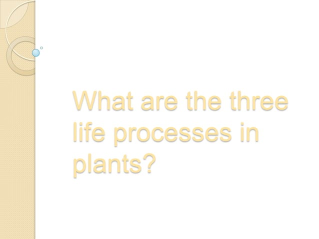 Unit 1 life processes plants | PPT