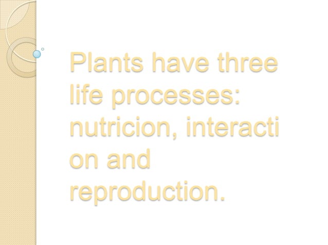 Unit 1 life processes plants | PPT