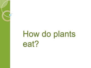 Unit 1 life processes plants | PPT