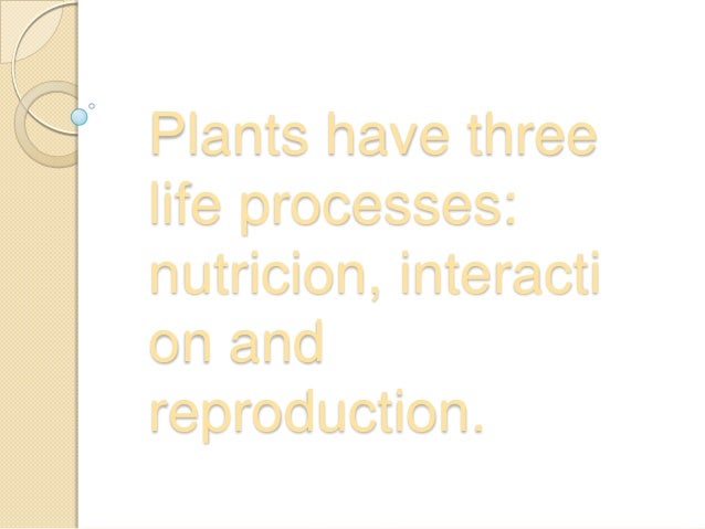 Unit 1 life processes plants
