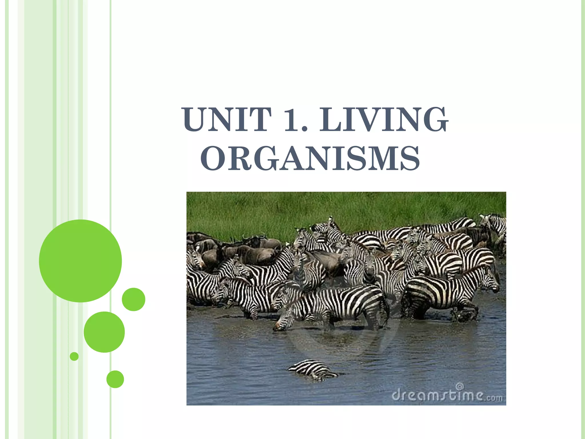 Unit 1 Living organisms | PPT | Biological Sciences | Science