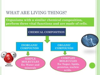 Unit 1 Living organisms | PPT | Biological Sciences | Science