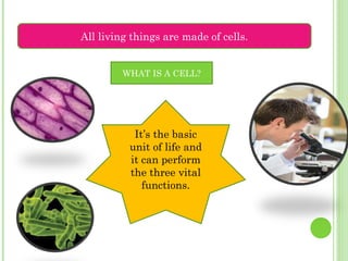 Unit 1 Living organisms | PPT | Biological Sciences | Science