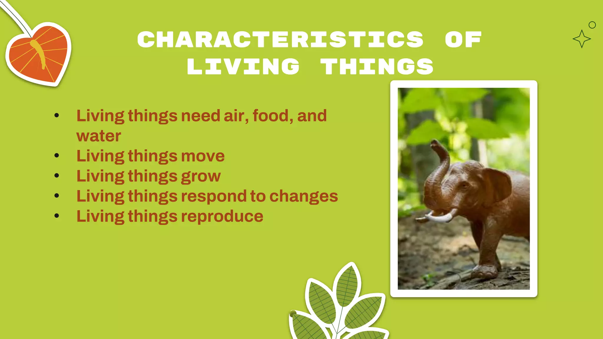 UNIT 1 LIVING THINGS AND NON-LIVING THINGS.pptx