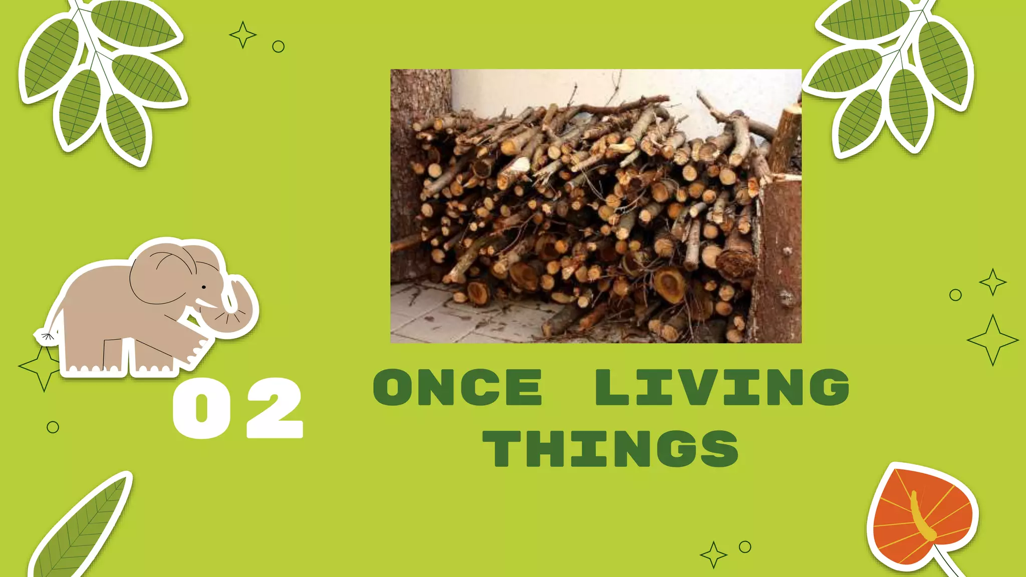 UNIT 1 LIVING THINGS AND NON-LIVING THINGS.pptx