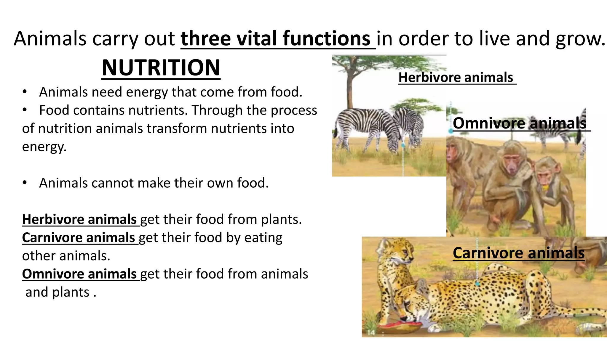 Unit 1 living things natural science 3ºpdf defi | PDF