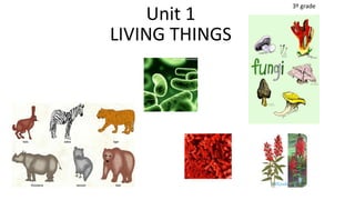 Unit 1 living things natural science 3ºpdf defi | PDF