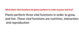 Unit 1 living things natural science 3ºpdf defi | PDF