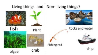Unit 1 living things natural science 3ºpdf defi | PDF