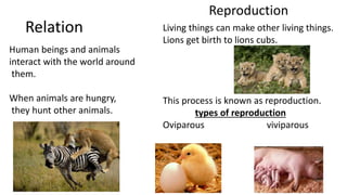 Unit 1 living things natural science 3ºpdf defi | PDF