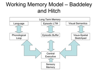 AQA AS Psychology Unit 1 Memory | PPT