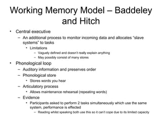 AQA AS Psychology Unit 1 Memory | PPT