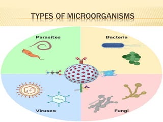 UNIT 1 MICROBIOLOGY-Introduction to Microbiology.pptx | Infectious ...