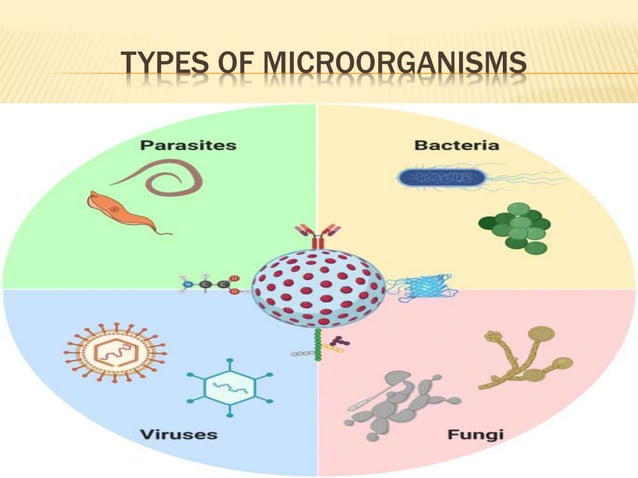 UNIT 1 MICROBIOLOGY-Introduction to Microbiology.pptx | Infectious ...