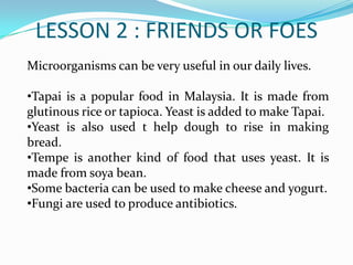 Useful Microorganisms In Our Daily Life