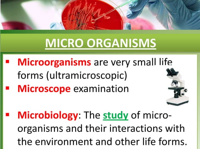 Unit 1 microorganisms | PPT