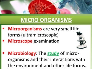 Unit 1 microorganisms students | PPT