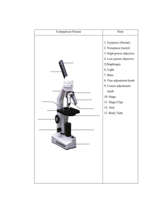Unit 1 How to Use Microscope | DOCX
