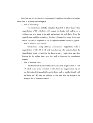 Unit 1 How to Use Microscope | PDF