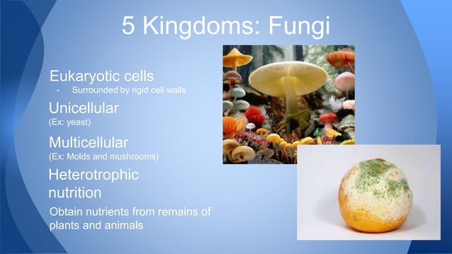 Unit 1 natural science living beings | PPT