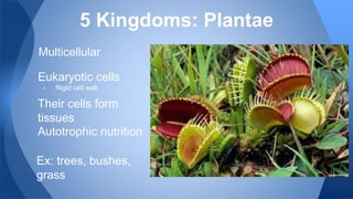 Unit 1 natural science living beings | PPT
