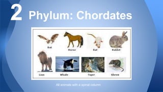 Unit 1 natural science living beings | PPT
