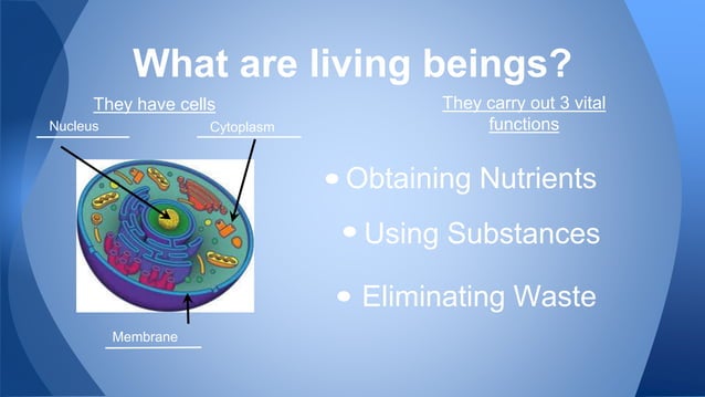 Unit 1 natural science living beings | PPT
