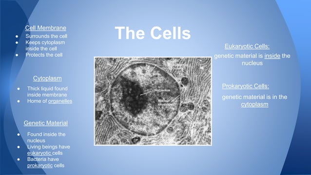Unit 1 natural science living beings | PPT