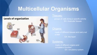 Unit 1 natural science living beings | PPT