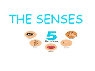 Unit 1 natural science | PPT