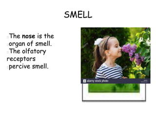 Unit 1 natural science | PPT