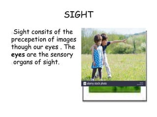 Unit 1 natural science | PPT
