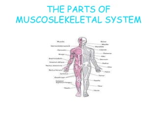 Unit 1 natural science | PPT