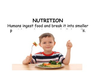 Unit 1 natural science | PPT