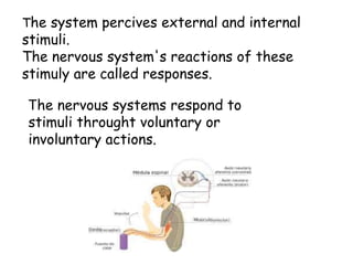 Unit 1 natural science | PPT