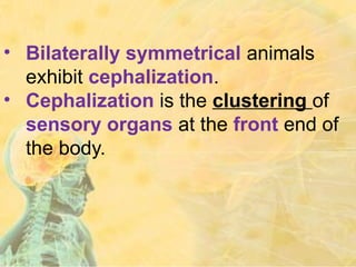 UNIT 1: Nervous System.................... | PPTX