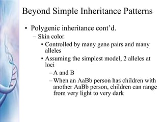 Simple Allele Picture