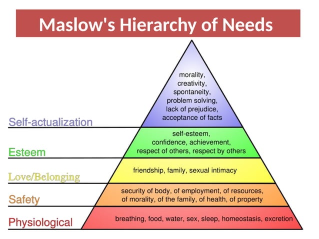 Unit 1; Nursing Process, Educational Platform.pptx