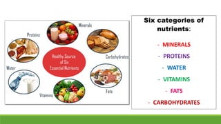 Power Point Science | PPT