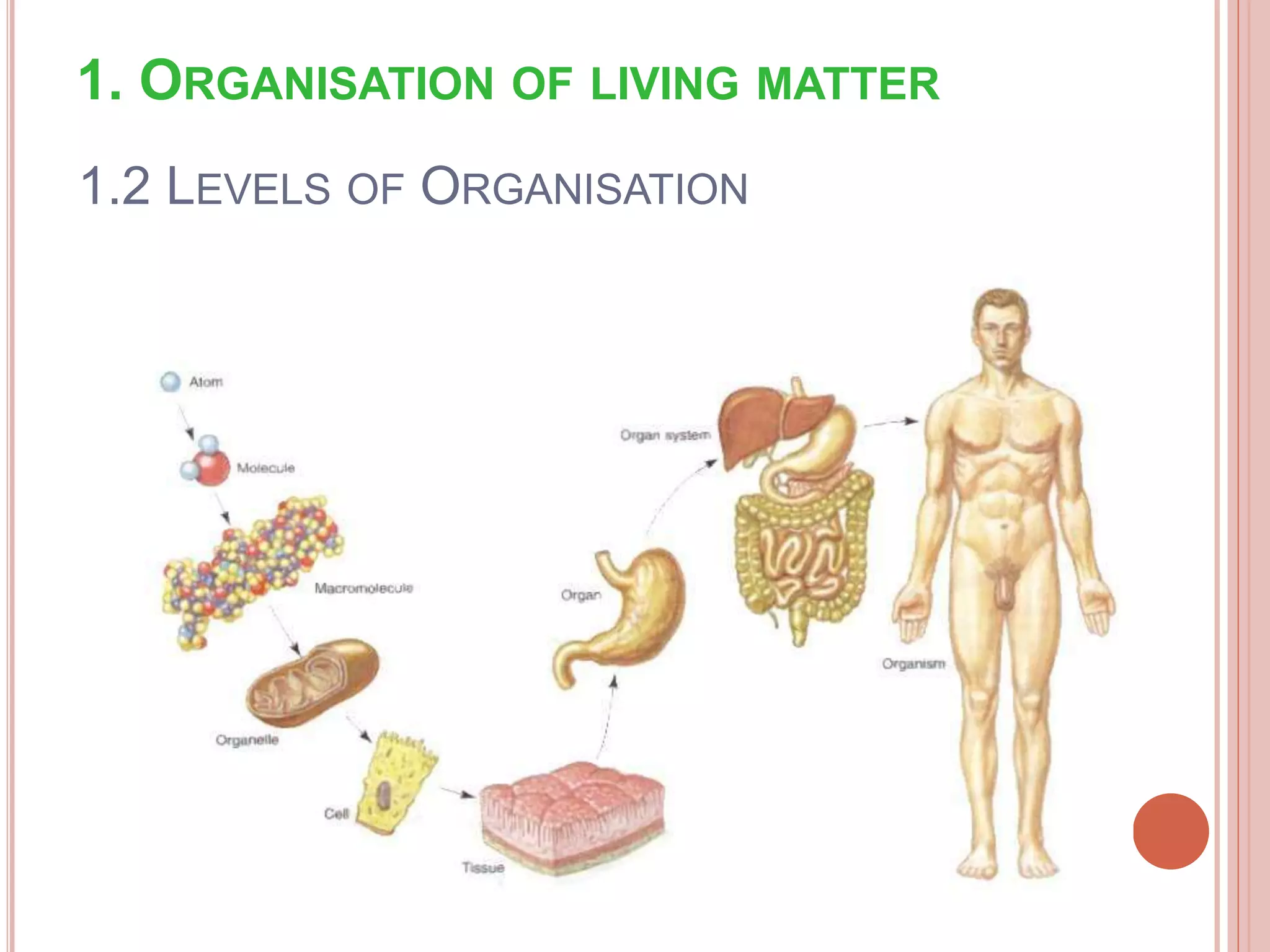 Unit1: Organisation of Human Body | PPTX