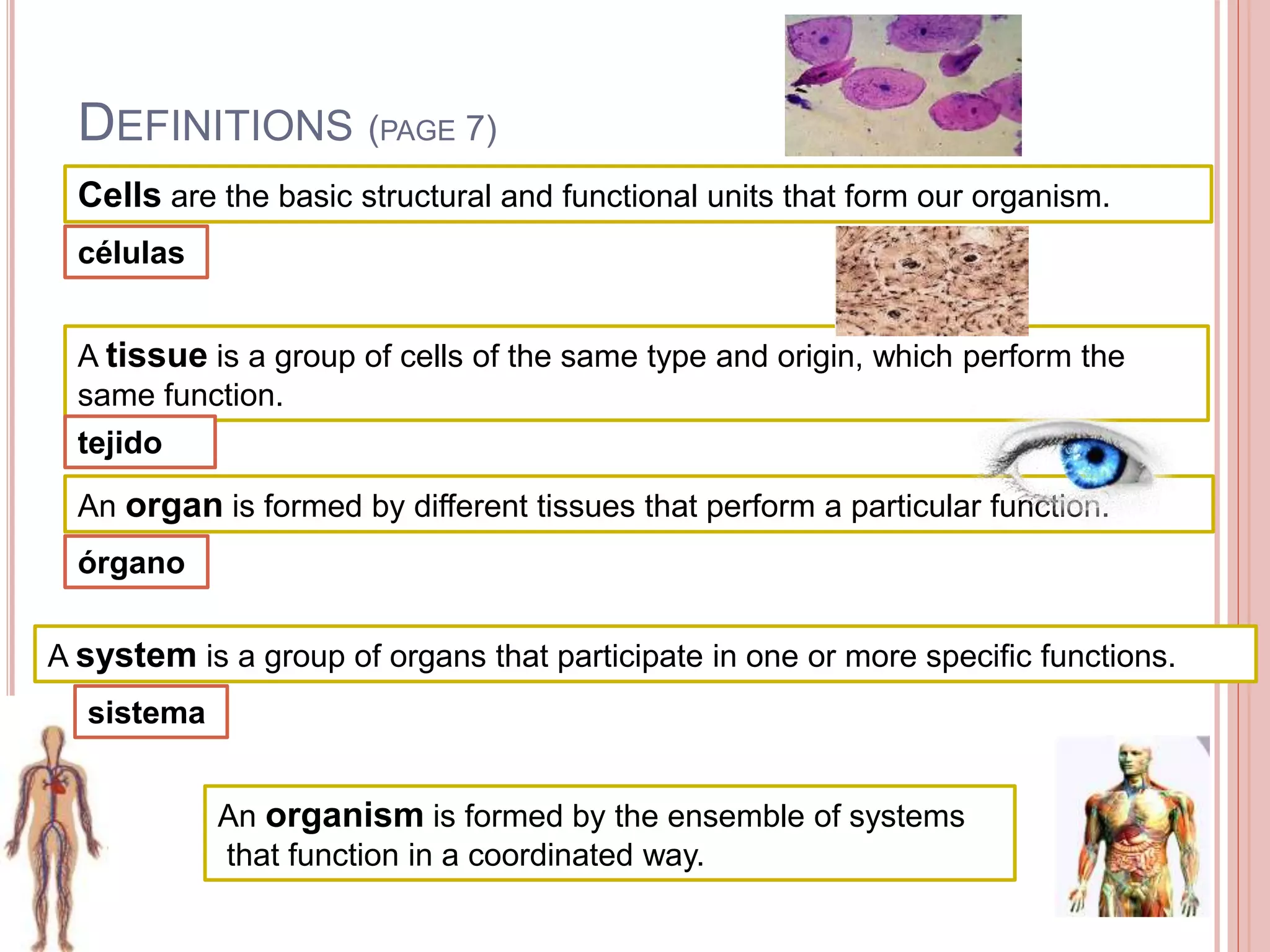 Unit1: Organisation of Human Body | PPTX