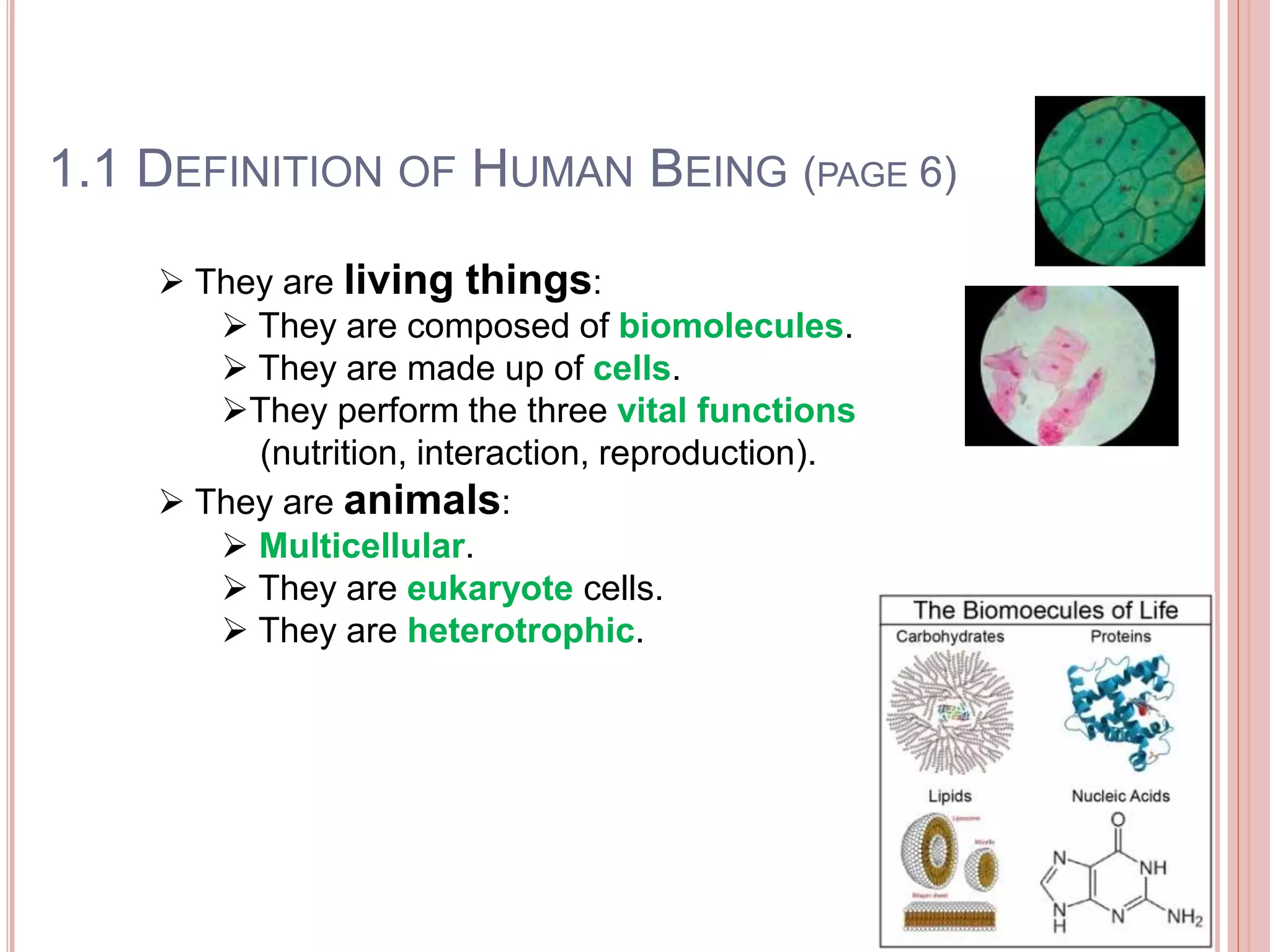 Unit1: Organisation of Human Body | PPTX