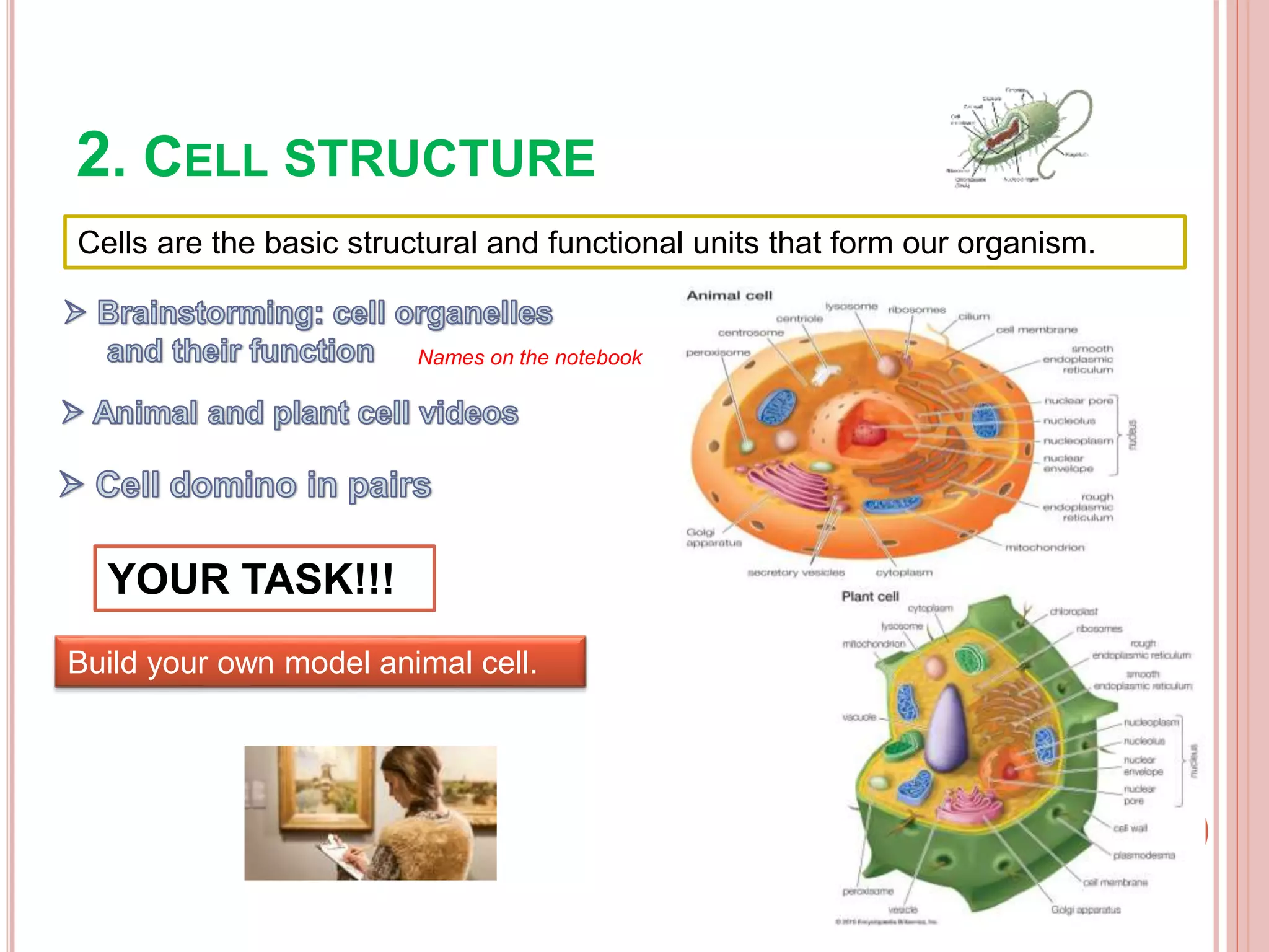 Unit1: Organisation of Human Body | PPTX