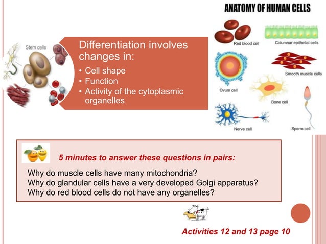 Unit1: Organisation of Human Body | PPTX