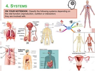 Unit1: Organisation of Human Body | PPTX