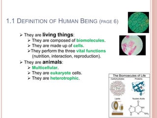 Unit1: Organisation of Human Body | PPTX