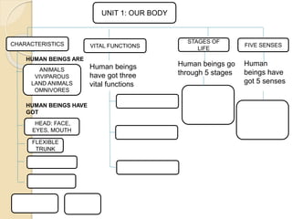 Unit 1 our body | PPT