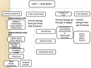 Unit 1 our body | PPT